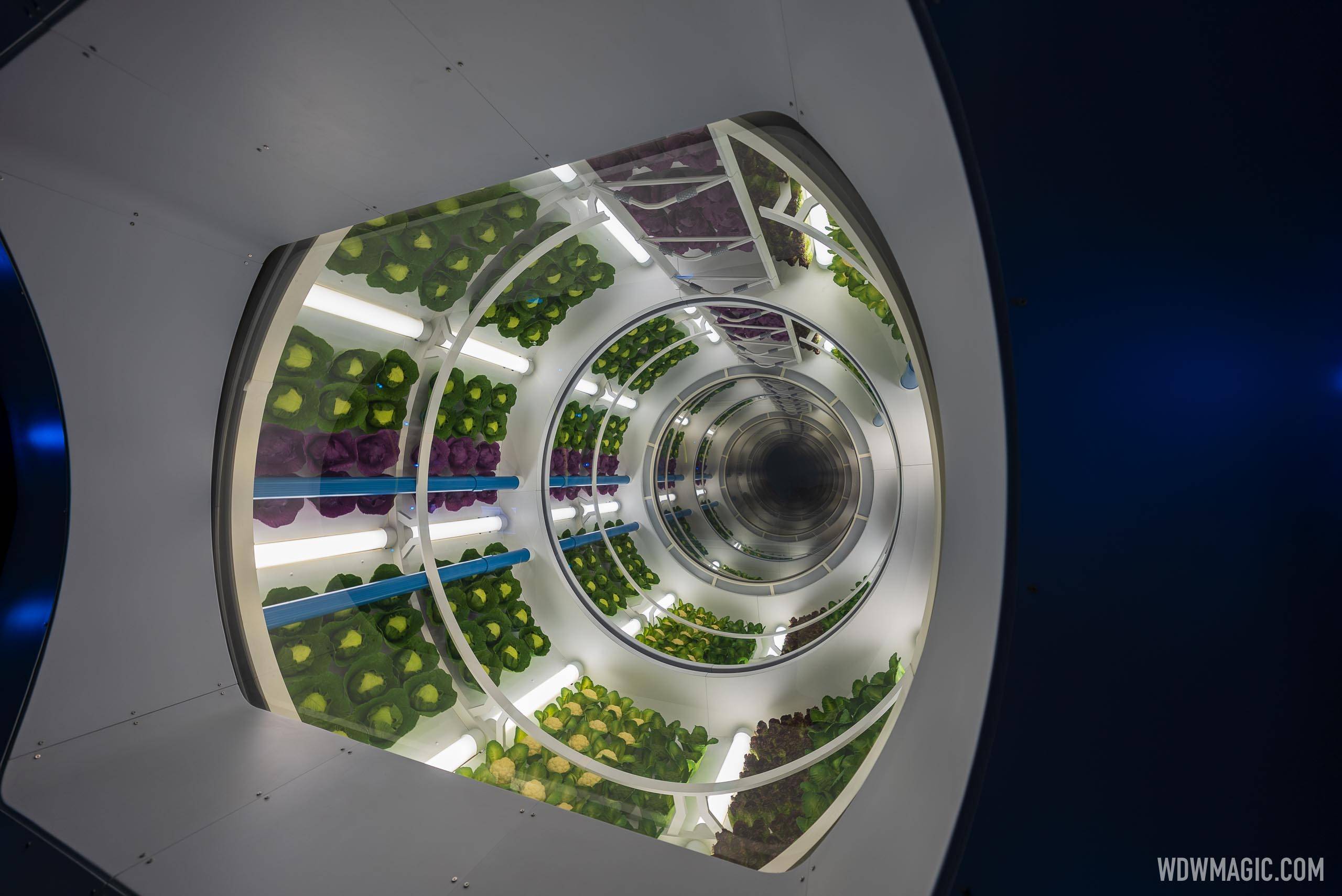 Space Ship Tours